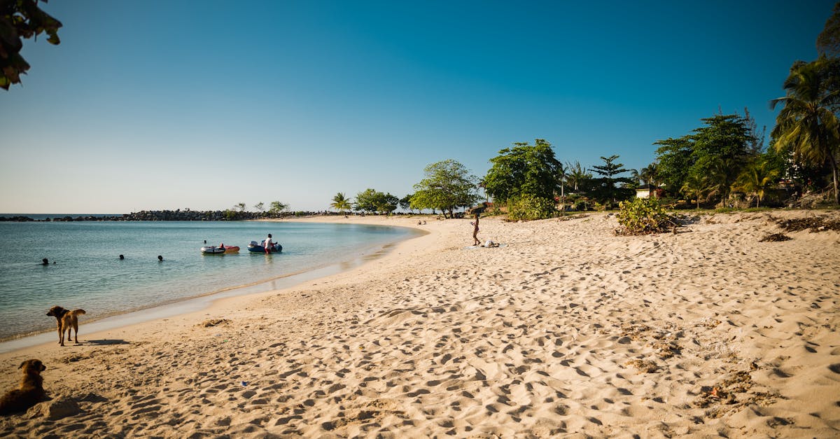 Cost of Living in Jamaica: Breakdown 2026 | WhereToEmigrate